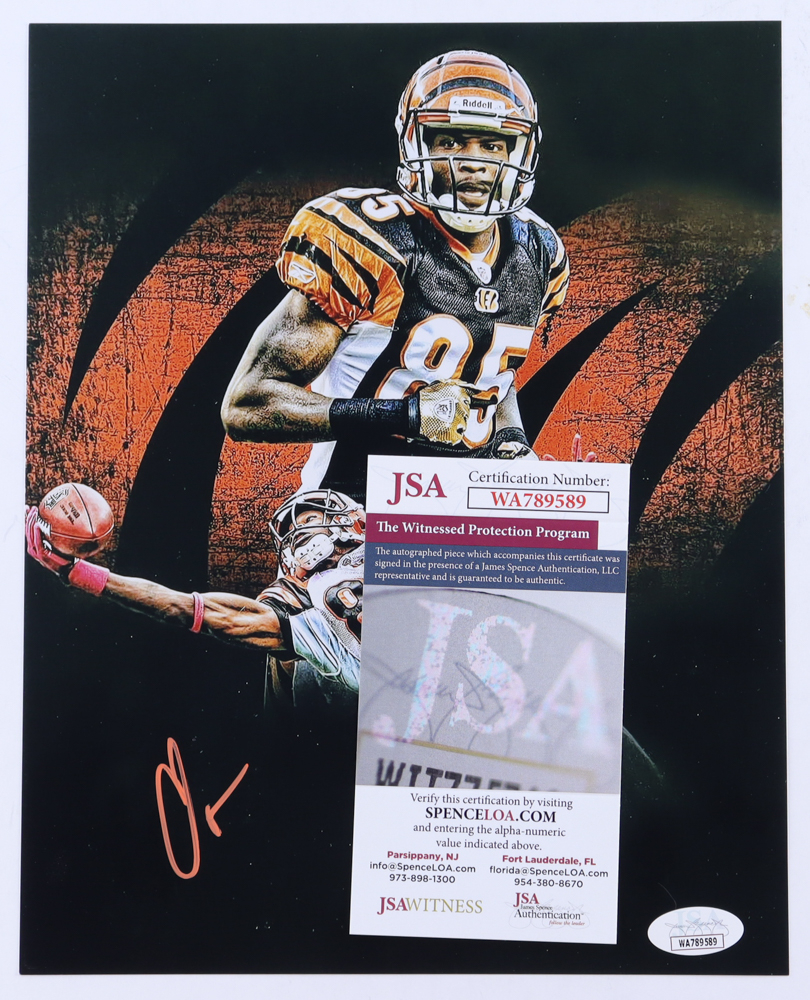 Chad "Ochocinco" Johnson Signed Bengals 8x10 Photo (JSA) | Pristine Auction