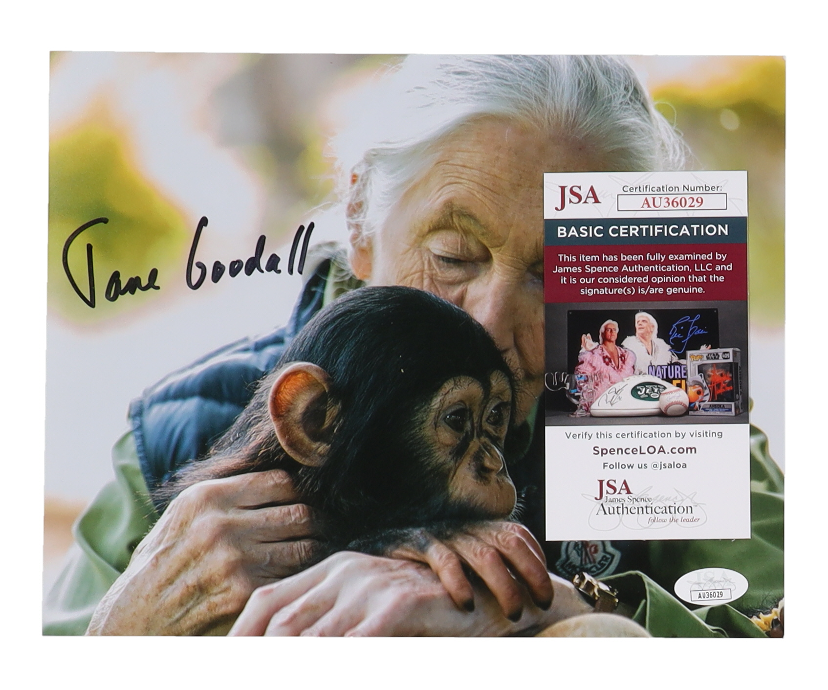 Jane Goodall Signed 8x10 Photo (JSA) | Pristine Auction