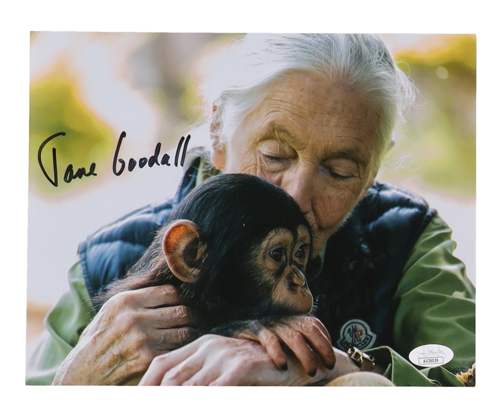 Jane Goodall Signed 8x10 Photo (JSA) | Pristine Auction