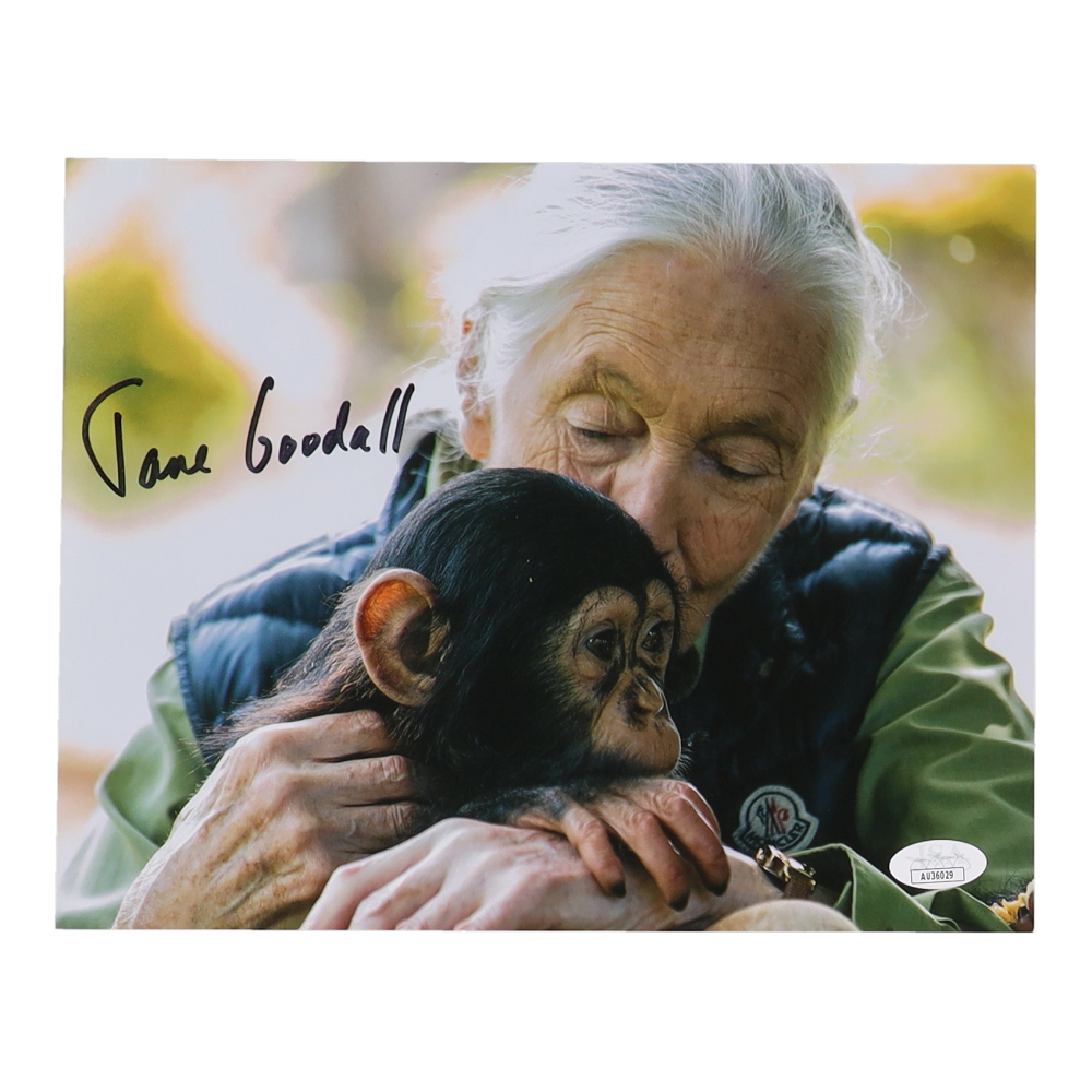 Jane Goodall Signed 8x10 Photo (JSA) | Pristine Auction