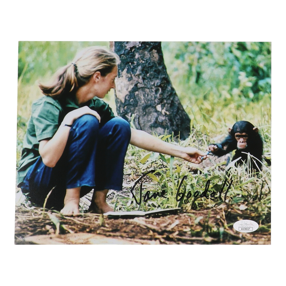 Jane Goodall Signed 8x10 Photo (JSA) | Pristine Auction