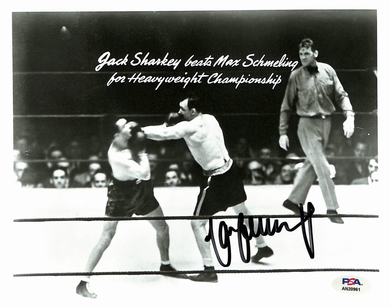 Max Schmeling Signed 8x10 Photo (PSA) | Pristine Auction