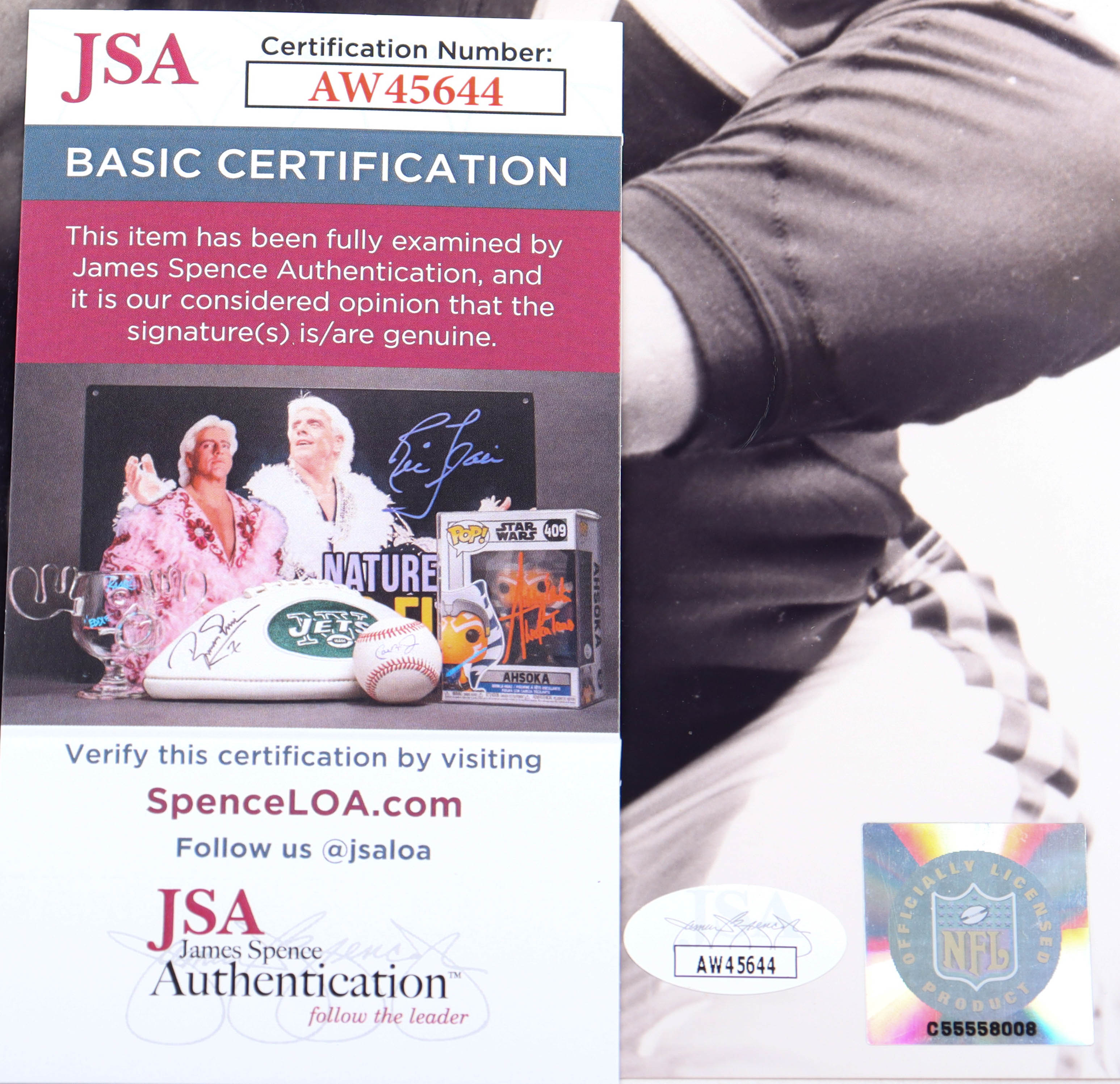 Stan Jones Signed Bears 8x10 Photo (JSA) | Pristine Auction