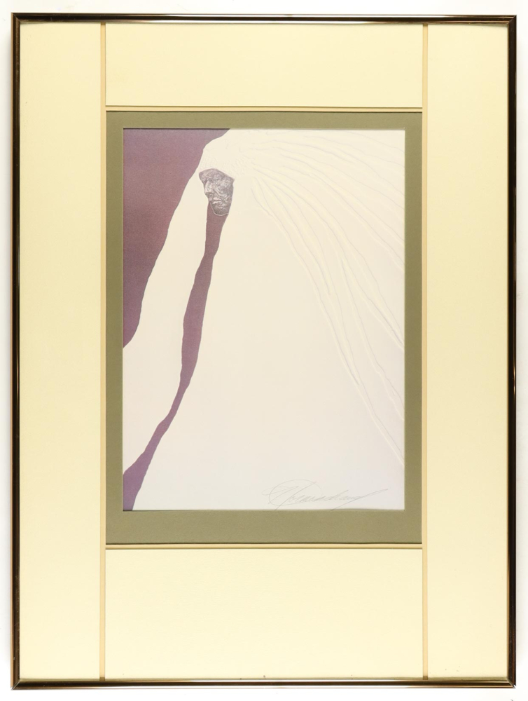 "Many Feathers" 1984 Custom Framed Lithograph Print Display By Norma ...