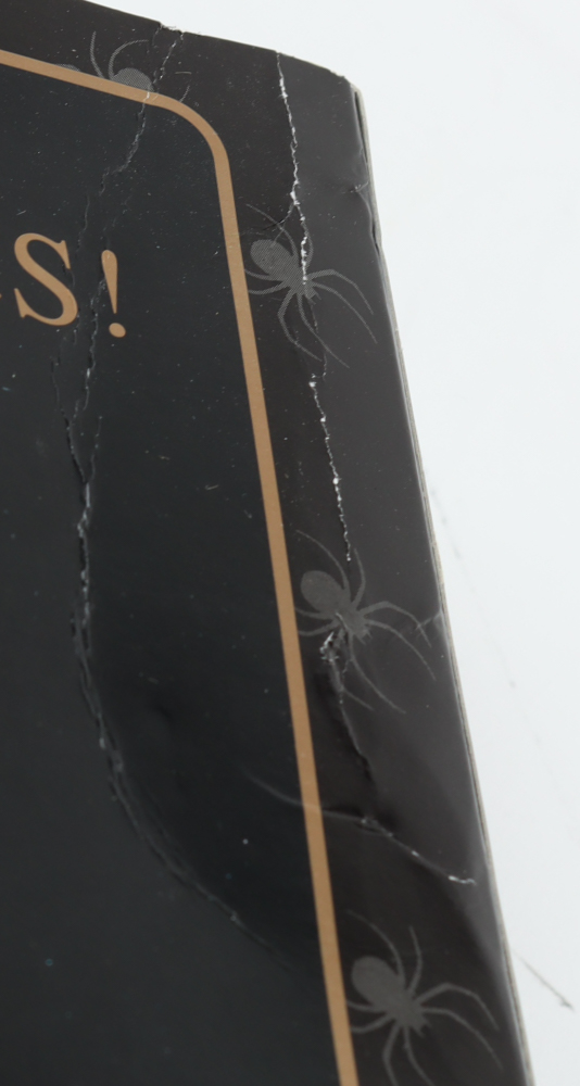 Stan Lee Signed "The Amazing Spider-Man" Spider-Man 8" Plush Figure ...