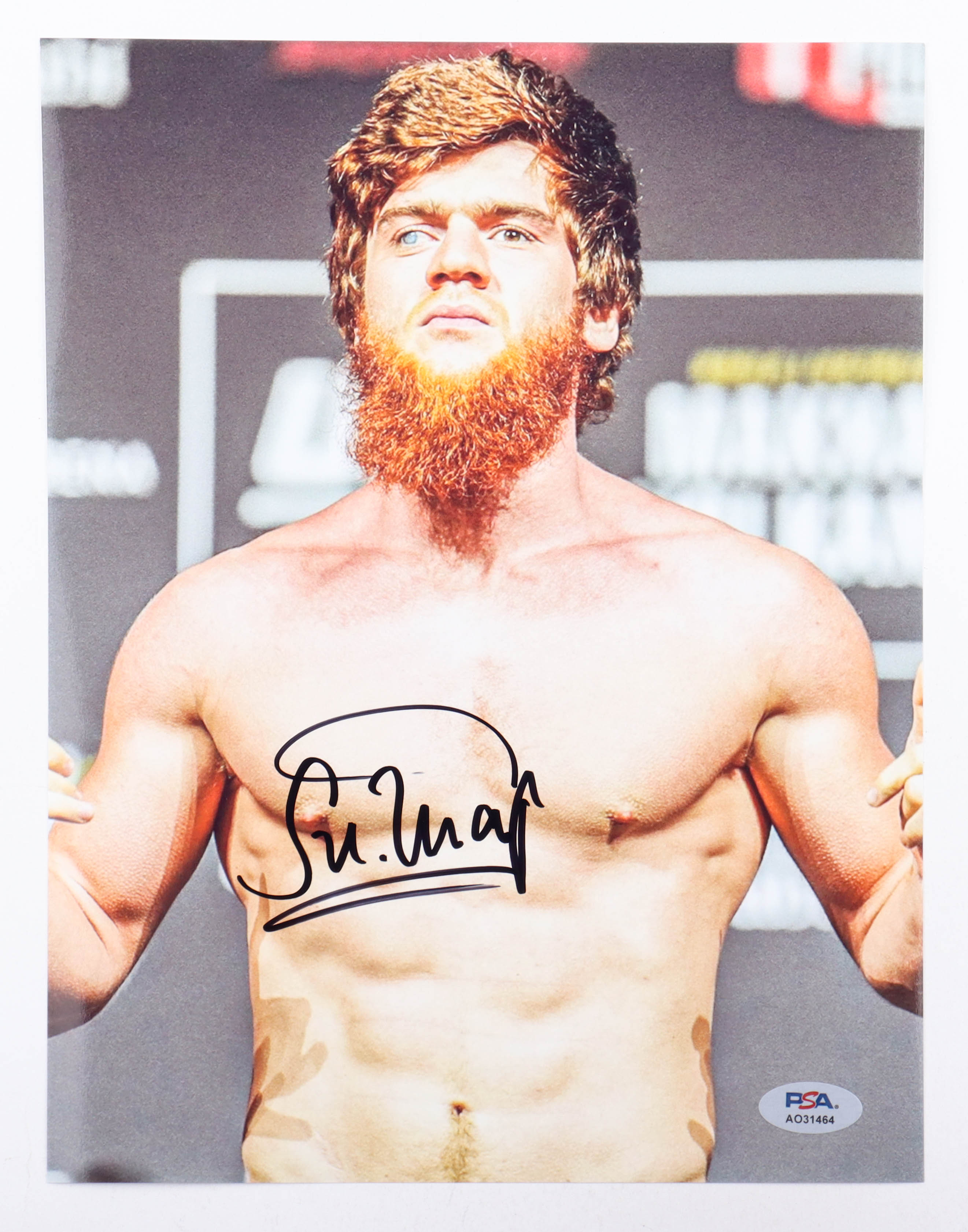 Sharabutdin Magomedov Signed UFC 8x10 Photo (PSA) | Pristine Auction