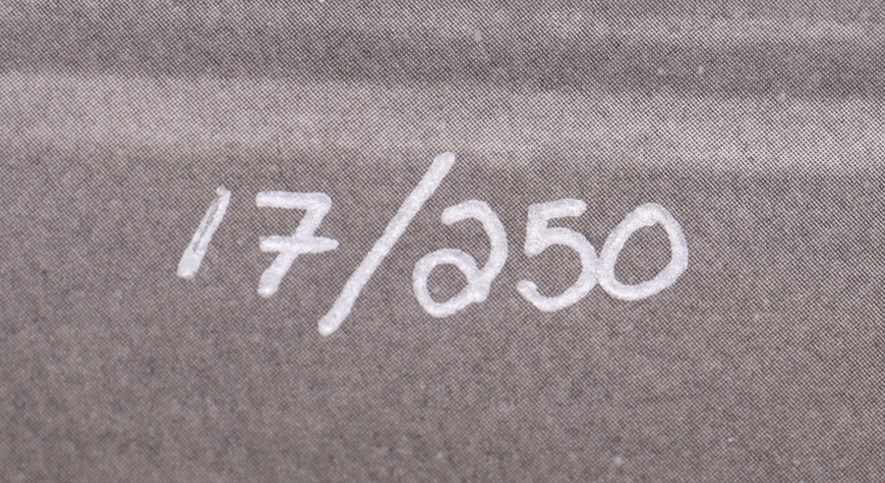 Lucille Ball & Desi Arnaz Signed 1952-53 LE Custom Framed Personal Bank ...