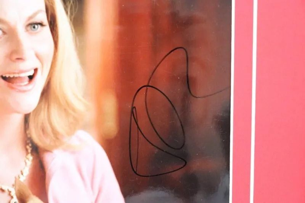 Amy Poehler Signed "Mean Girls" Custom Framed Photo (PSA) | Pristine ...