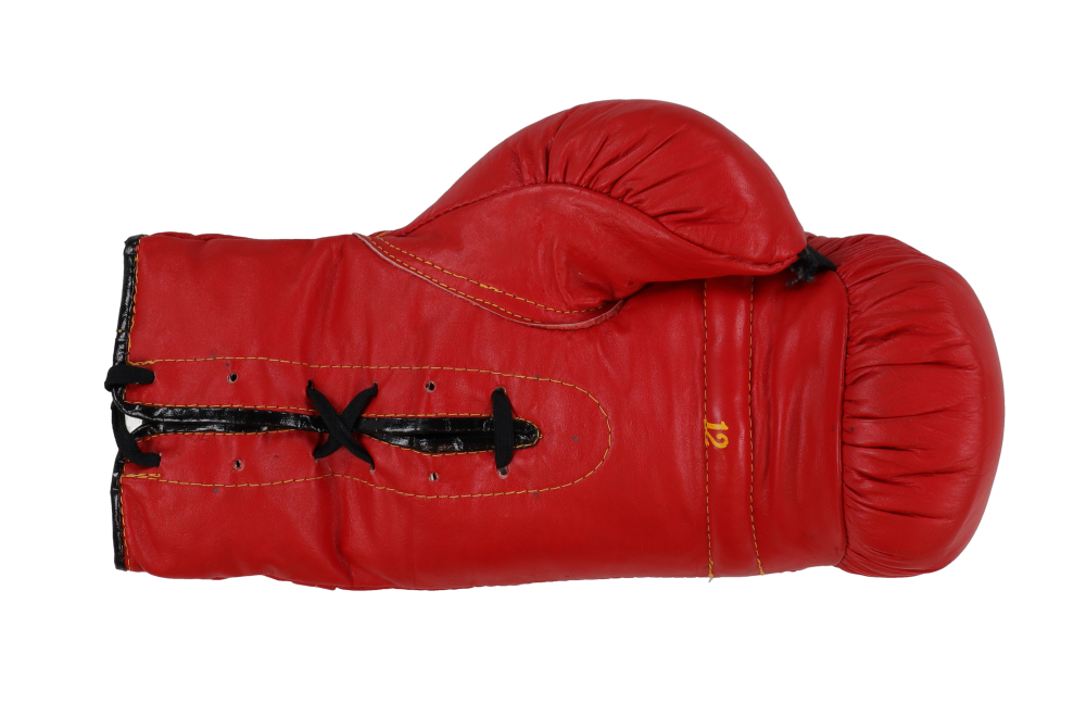 "Boxing Greats" Everlast Boxing Glove Signed By (12) With Willie Pep ...