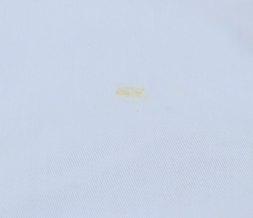 Alice Cooper Signed Straitjacket Inscribed "Property of Dwight Frye ...