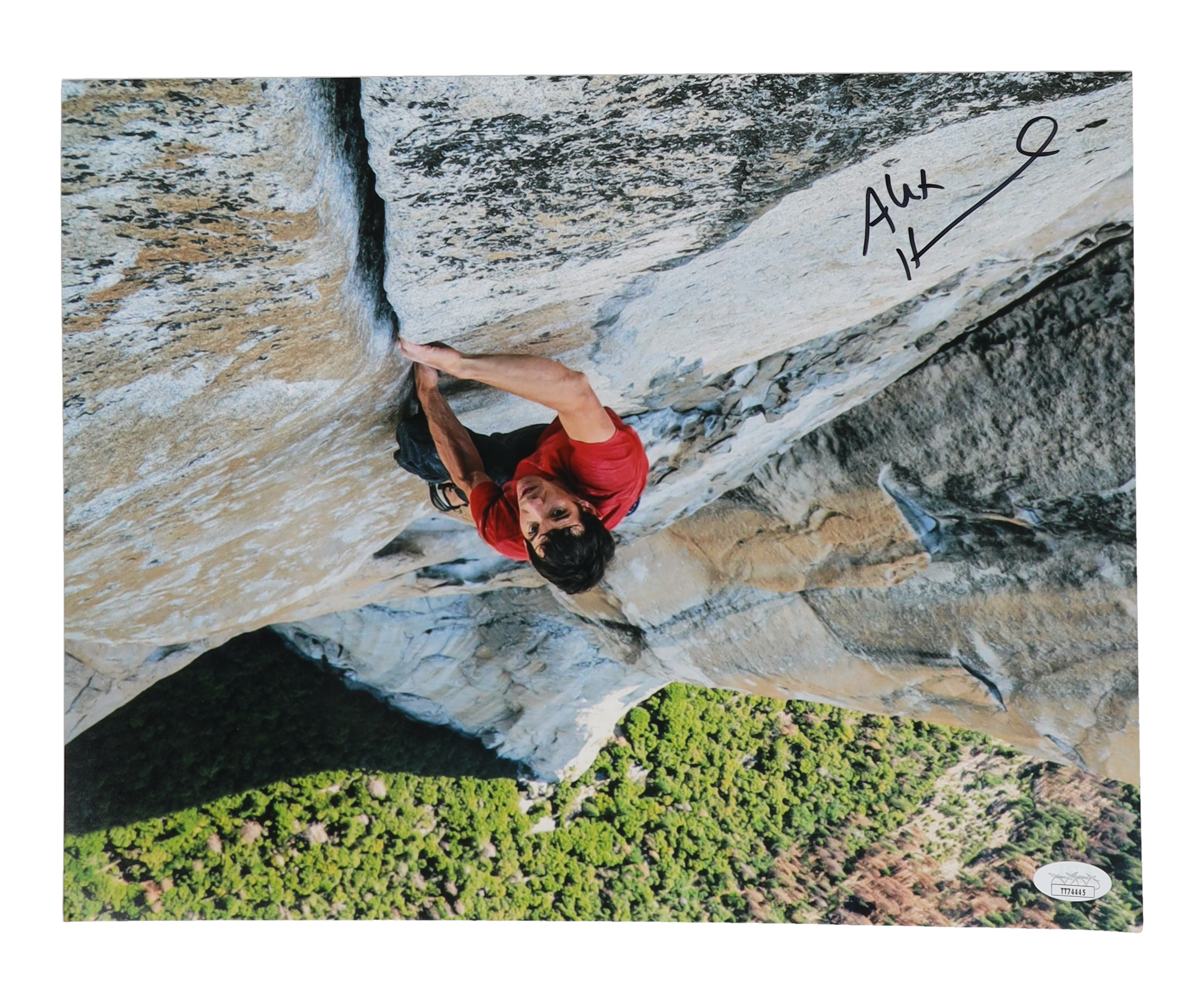 Alex Honnold Signed 11x14 Photo (JSA) | Pristine Auction