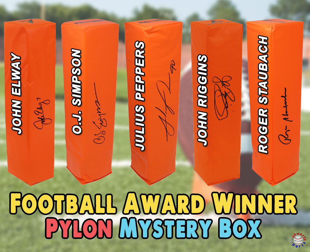 Football AWARD WINNER Signed Endzone Pylon Mystery Box - Series 15 ...
