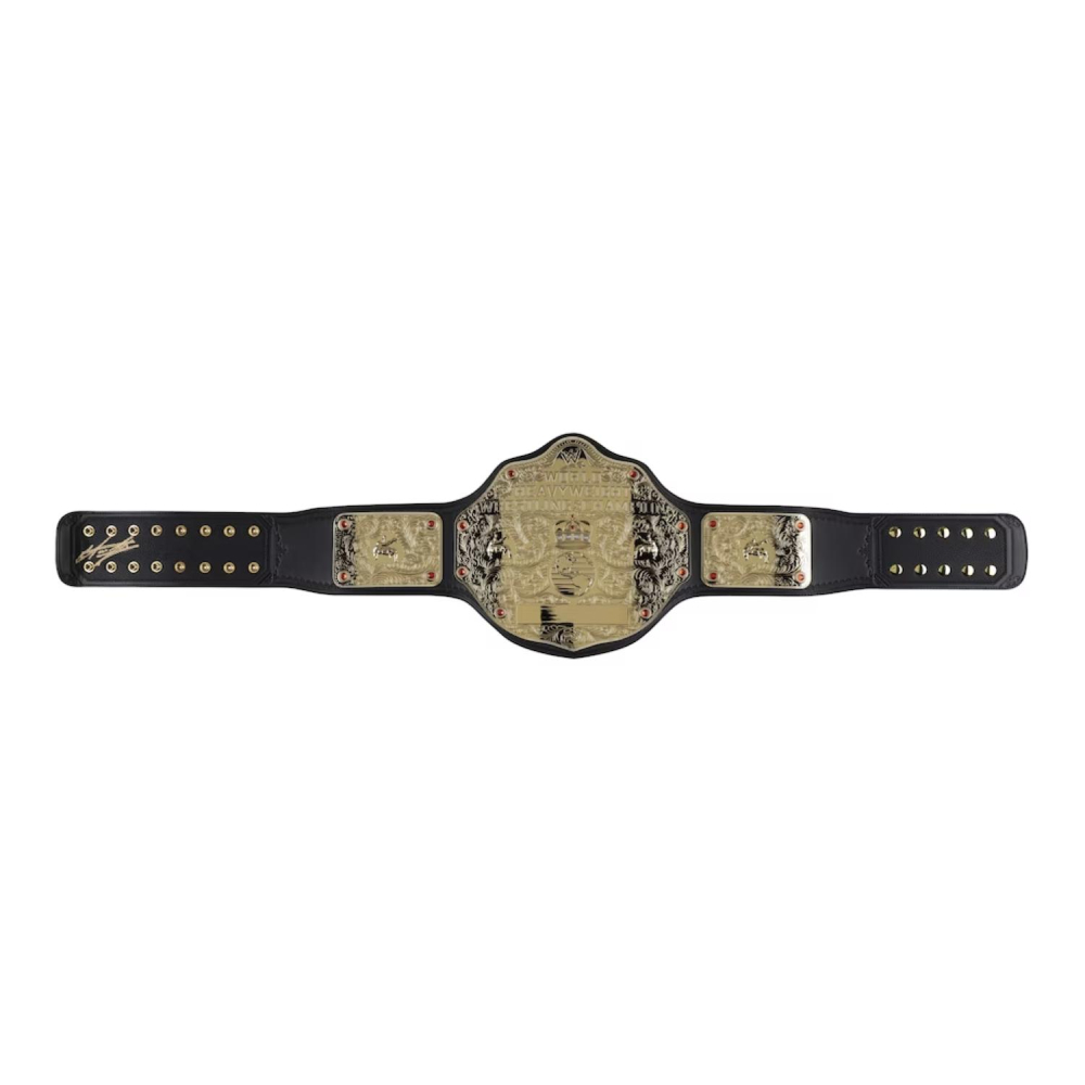 The Undertaker Signed WWE World Heavyweight Championship Belt (Fanatics ...