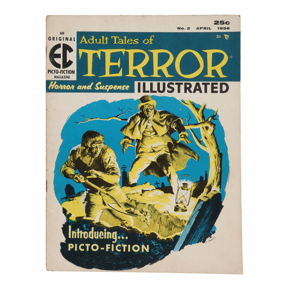 1956 "Terror Illustrated: Horror And Suspense" Issue #2 Picto-Fiction ...
