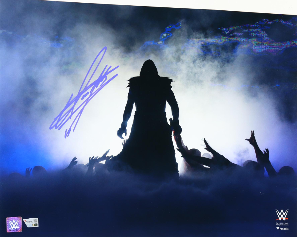 The Undertaker Signed WWE 16x20 Photo (Fanatics) | Pristine Auction
