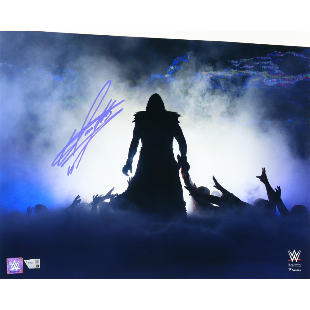 The Undertaker Signed WWE 16x20 Photo (Fanatics) | Pristine Auction