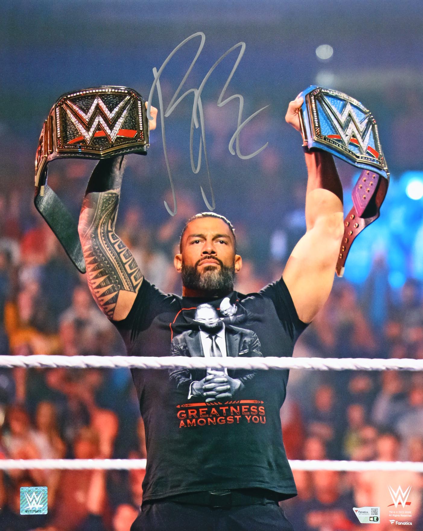 Roman Reigns Signed WWE 16x20 Photo (Fanatics) | Pristine Auction