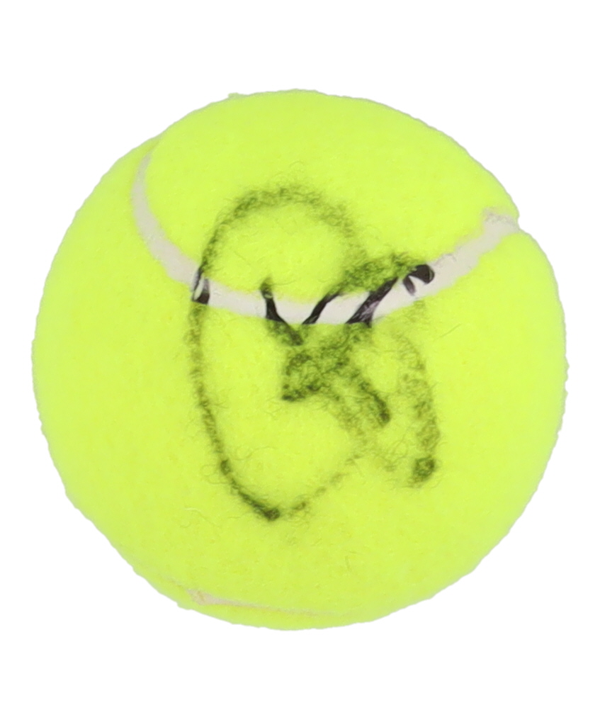Novak Djokovic Signed Tennis Ball (PSA) | Pristine Auction