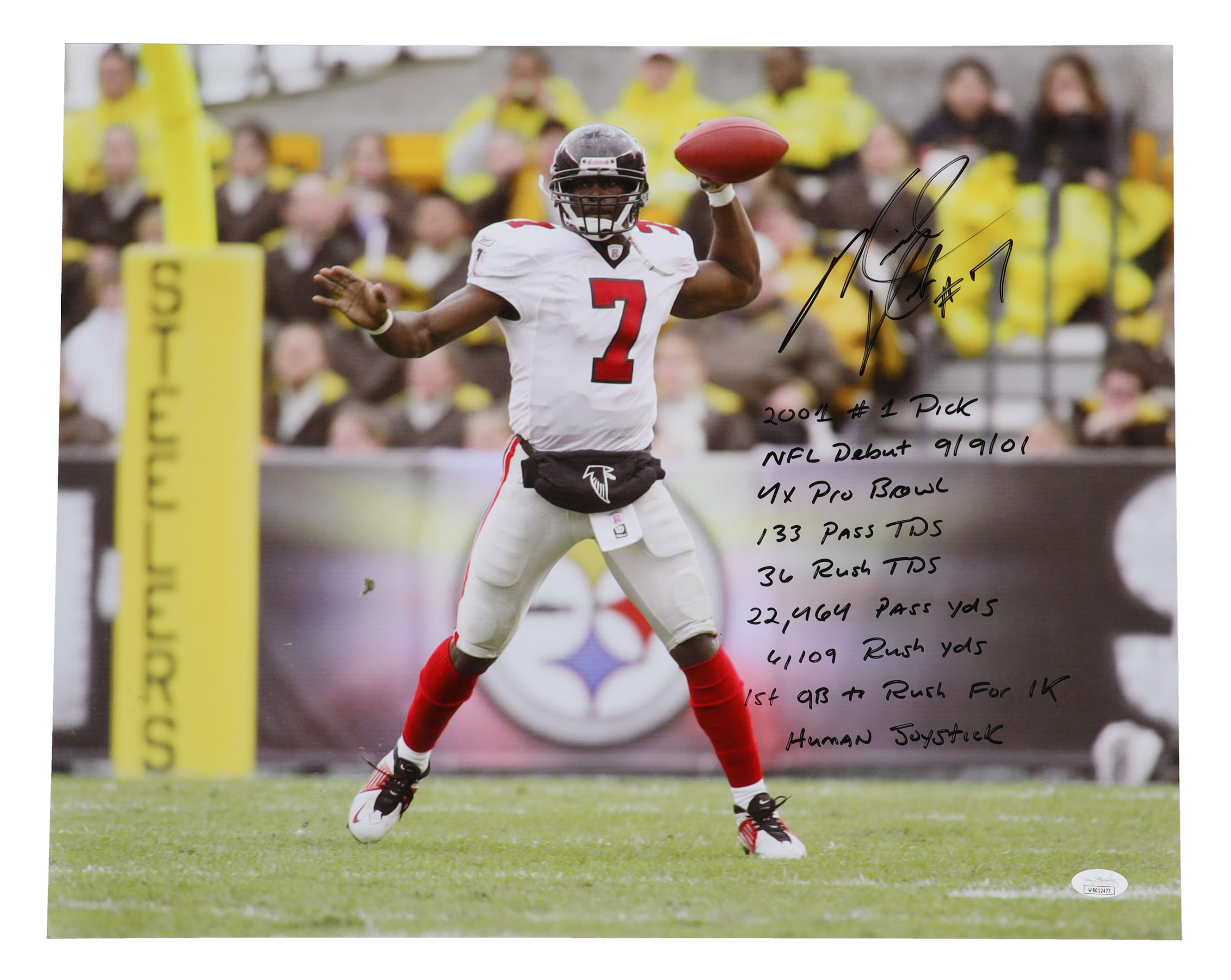 Michael Vick Signed Falcons 16x20 Photo With (9) Career Stat ...