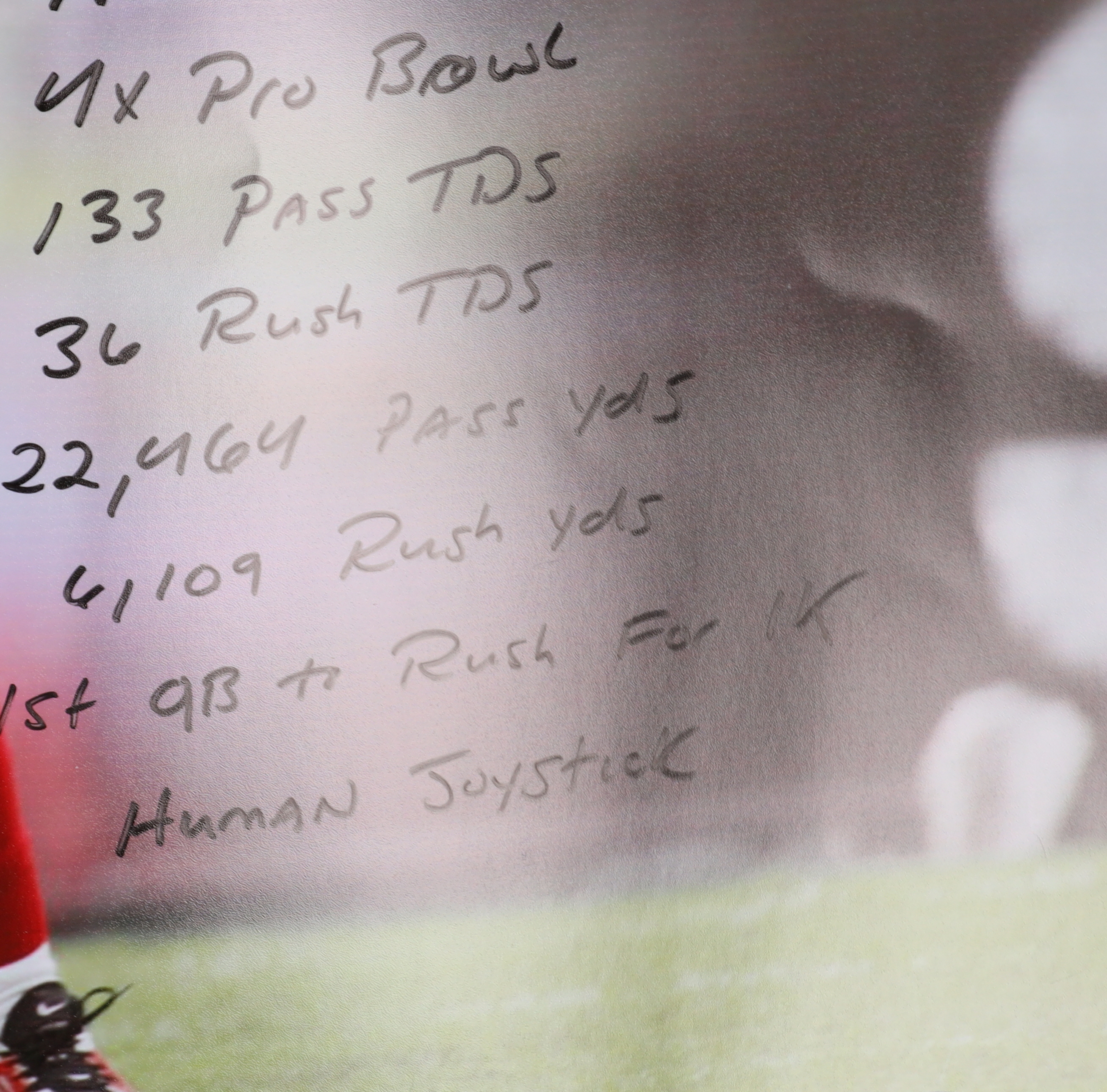 Michael Vick Signed Falcons 16x20 Photo With (9) Career Stat ...