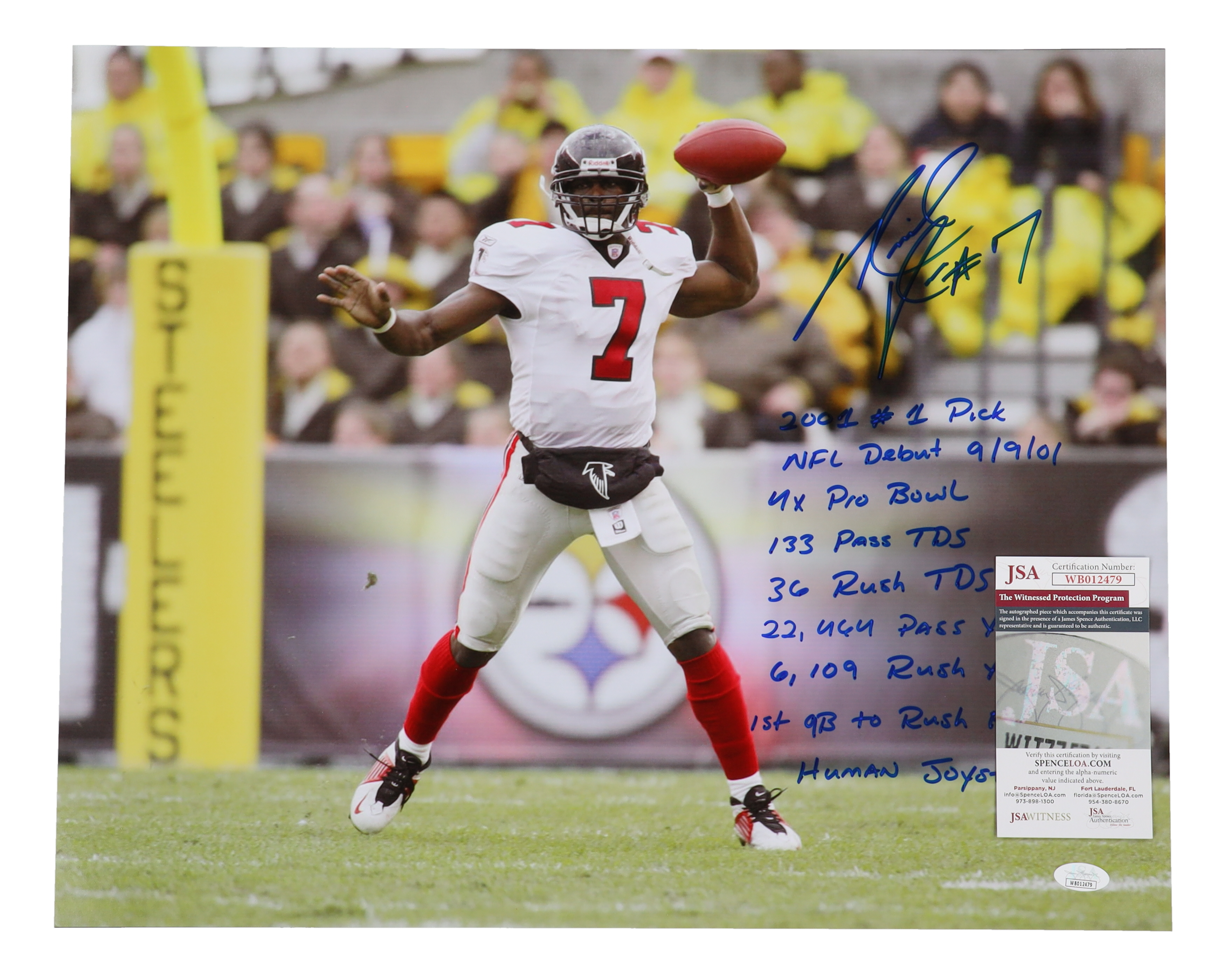 Michael Vick Signed Falcons 16x20 Photo With (9) Career Stat ...