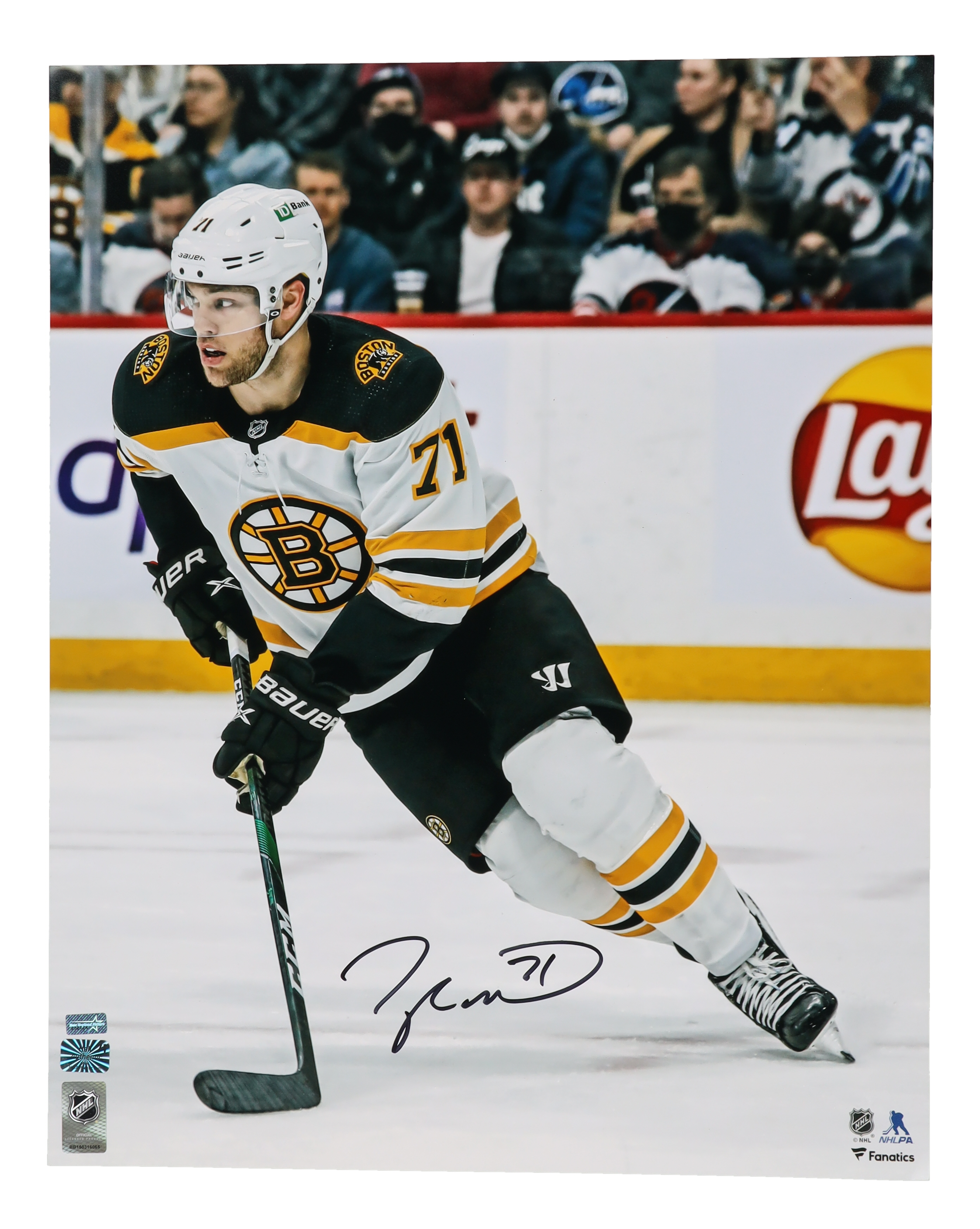 Taylor Hall Signed Bruins 16x20 Photo (Fanatics) | Pristine Auction