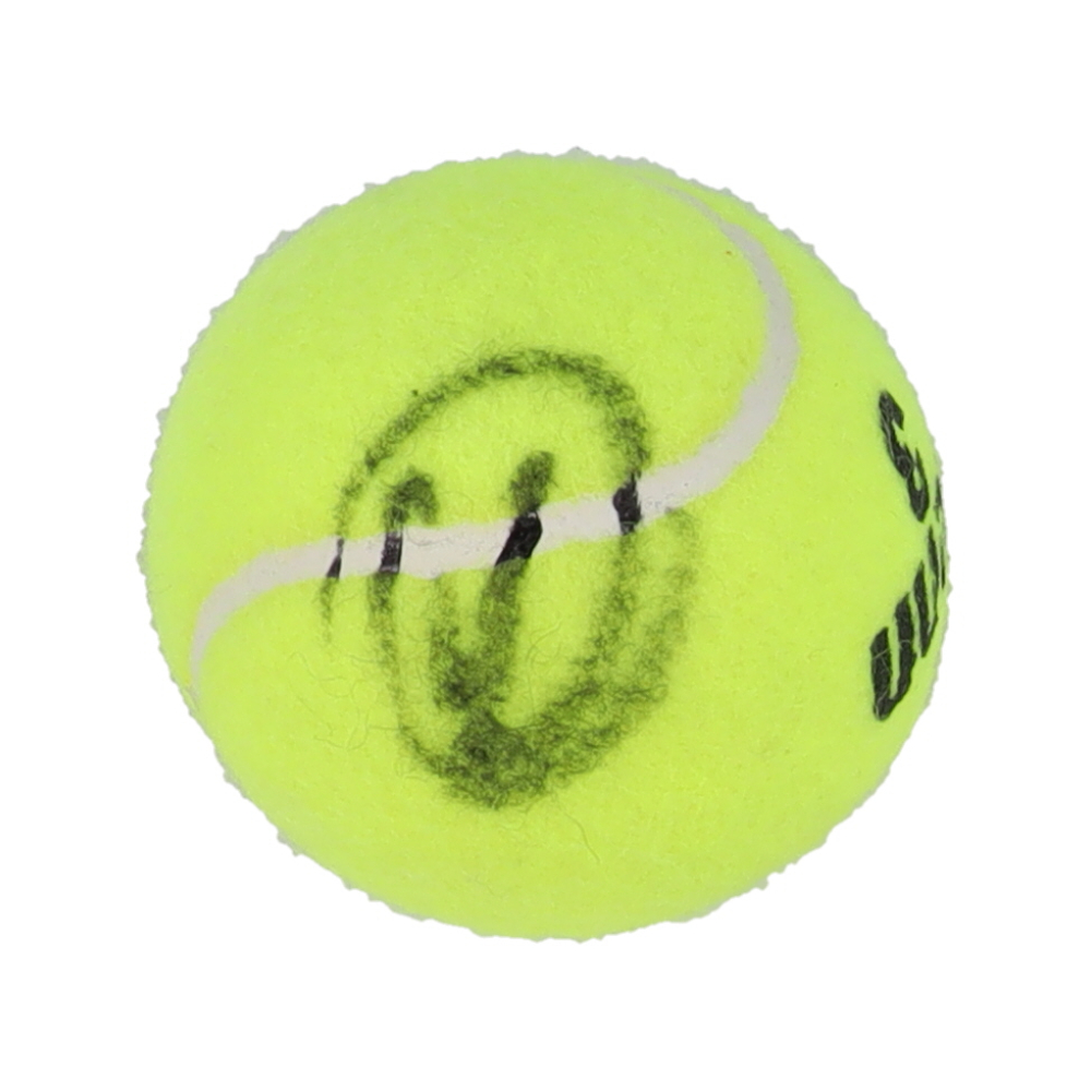 Novak Djokovic Signed Tennis Ball (AutographCOA) | Pristine Auction