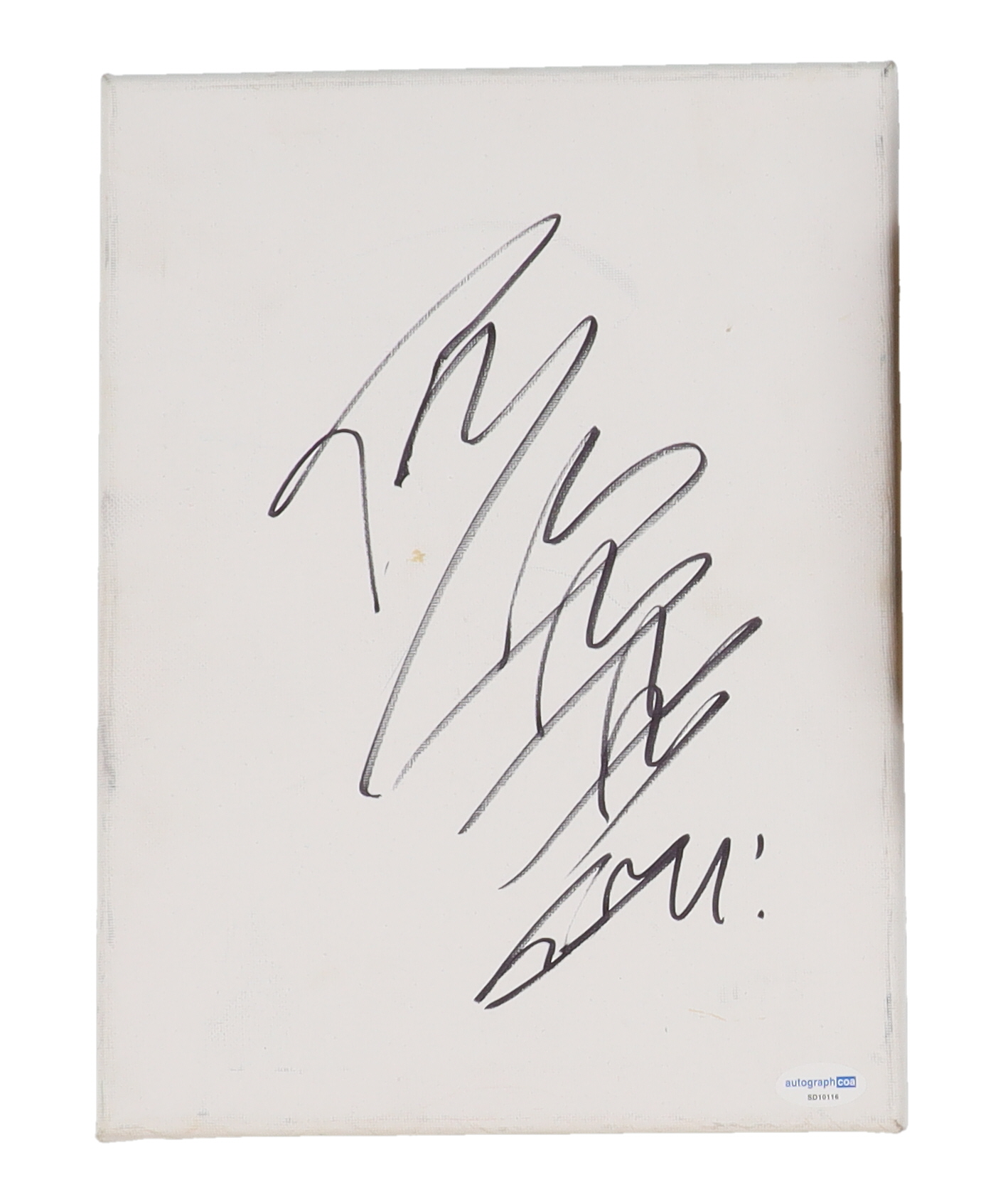 Post Malone Signed 9x12 Canvas (AutographCOA) | Pristine Auction
