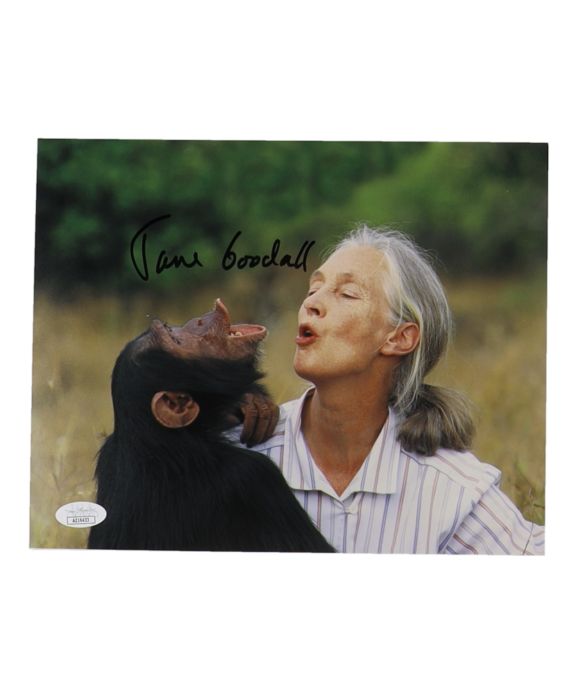 Jane Goodall Signed 8x10 Photo (JSA) | Pristine Auction