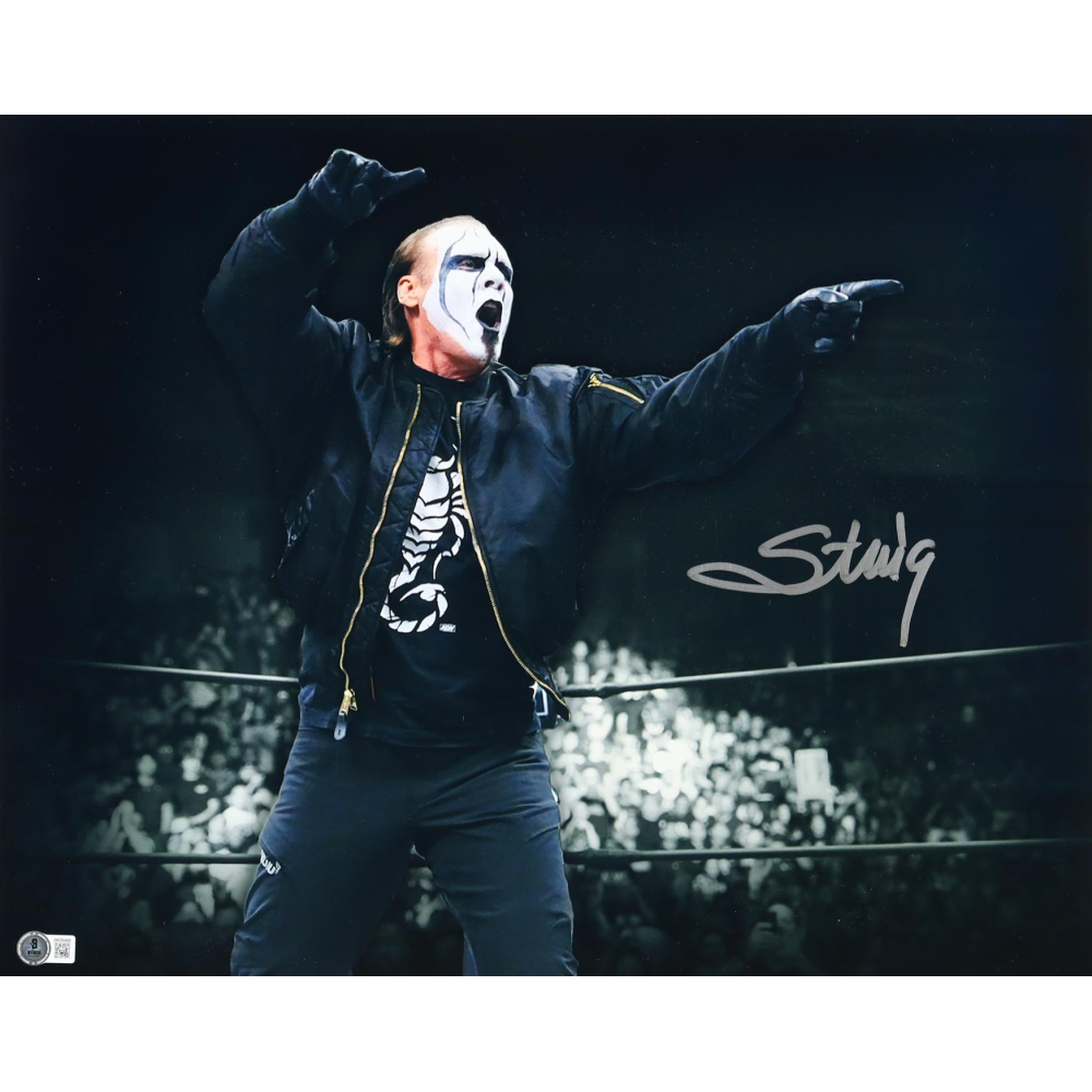 Sting Signed WWE 16x20 Photo (Beckett) | Pristine Auction