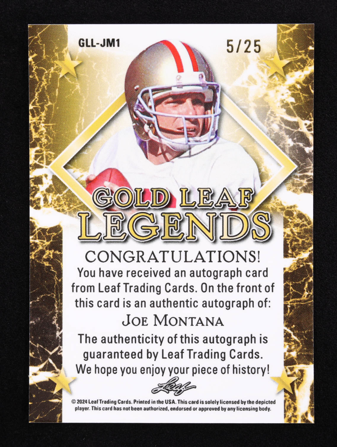 Joe Montana 2024 Leaf Legacy Collection "Gold Leaf Legends" #GLL-JM1 ...
