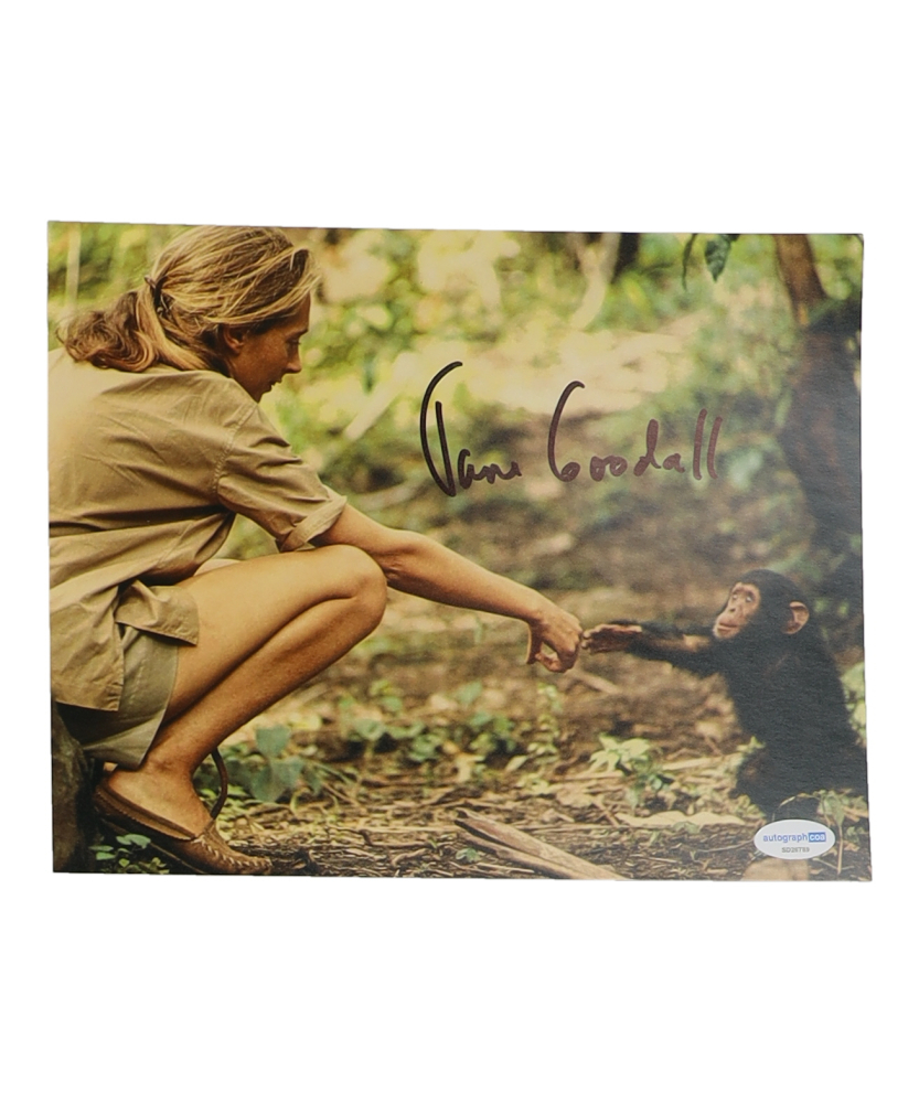 Jane Goodall Signed 8x10 Photo (AutographCOA) | Pristine Auction