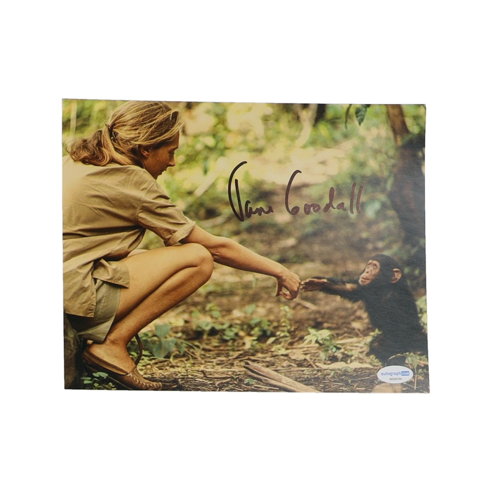 Jane Goodall Signed 8x10 Photo (AutographCOA) | Pristine Auction