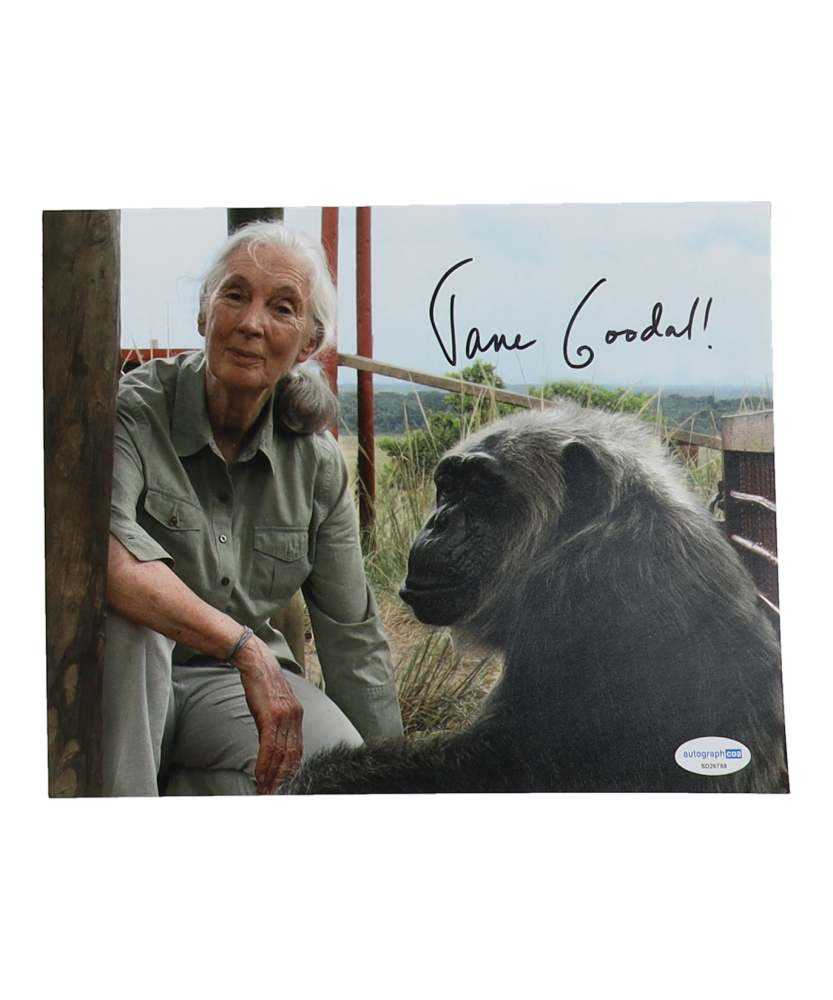Jane Goodall Signed 8x10 Photo (AutographCOA) | Pristine Auction