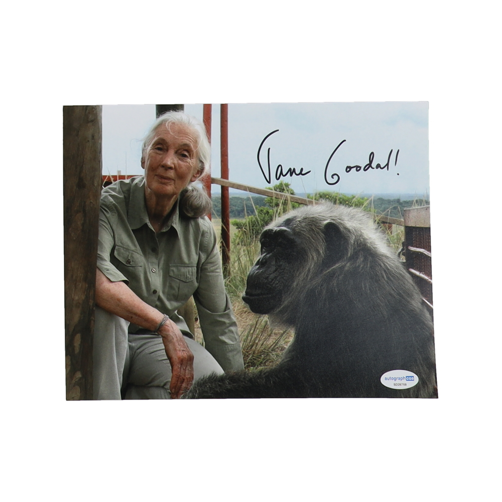 Jane Goodall Signed 8x10 Photo (AutographCOA) | Pristine Auction