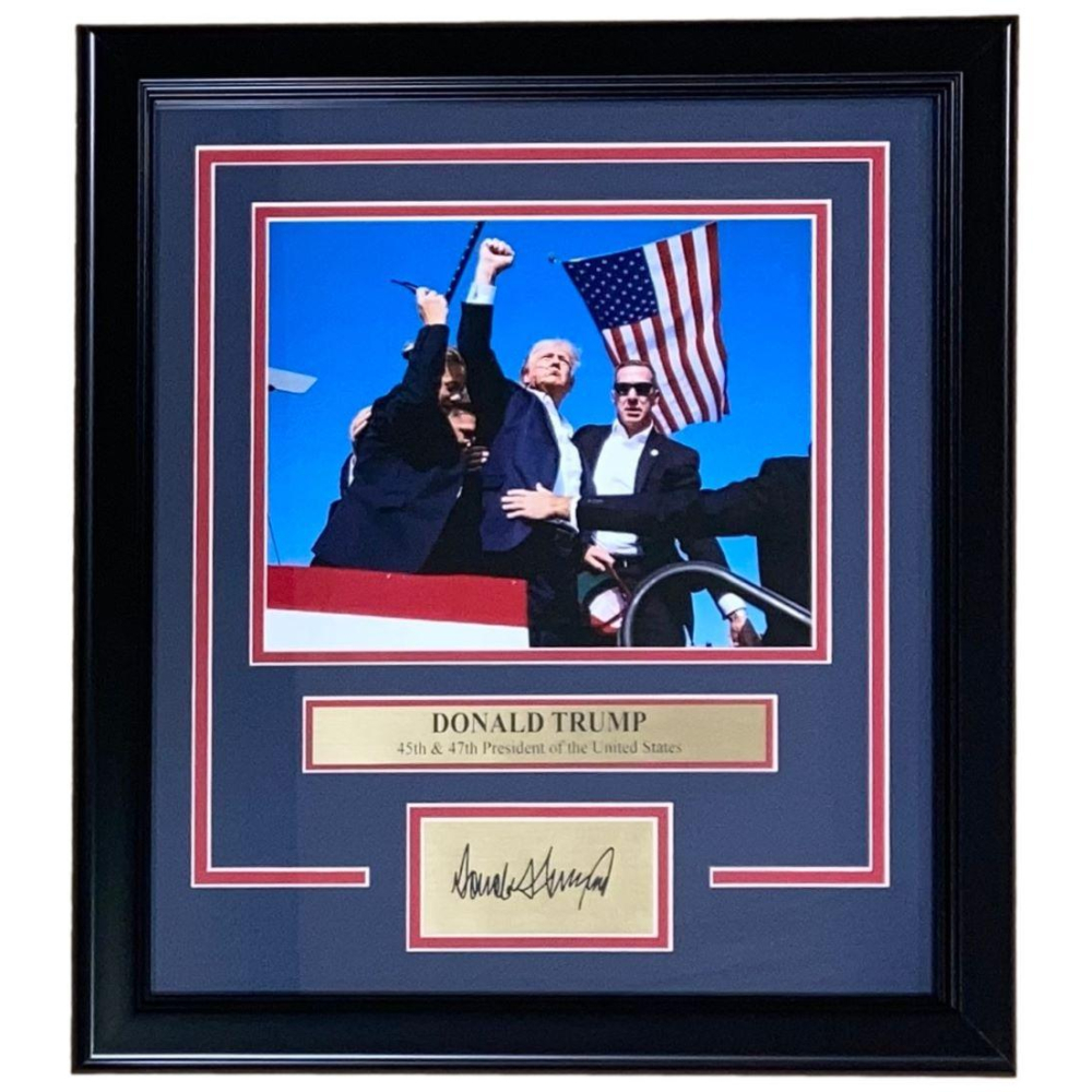 Donald Trump Custom Framed Photo Display | Pristine Auction