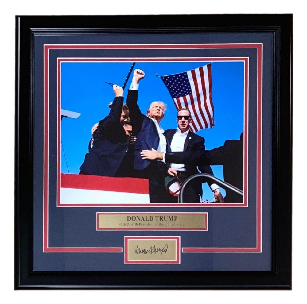 Donald Trump Custom Framed Photo Display | Pristine Auction