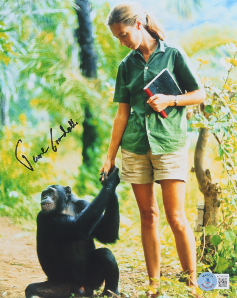 Jane Goodall Signed 8x10 Photo (Beckett) | Pristine Auction