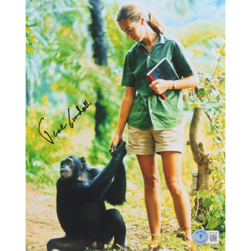 Jane Goodall Signed 8x10 Photo (Beckett) | Pristine Auction