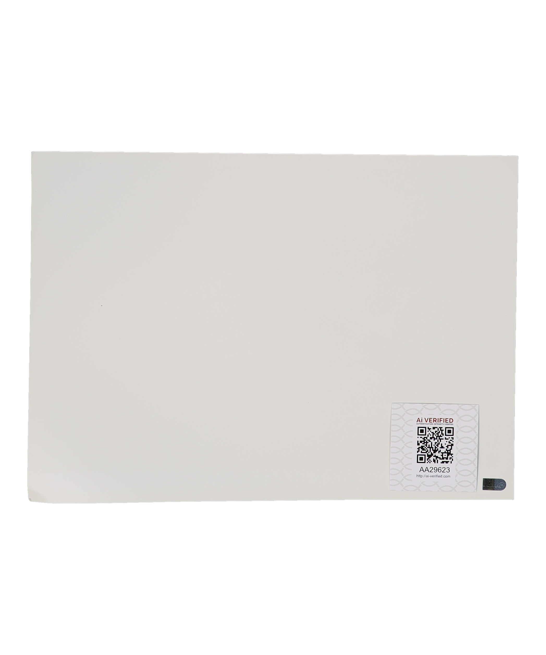 Drax Williams Signed Stan Stokes "Early Top Guns" Lithograph (AIV ...