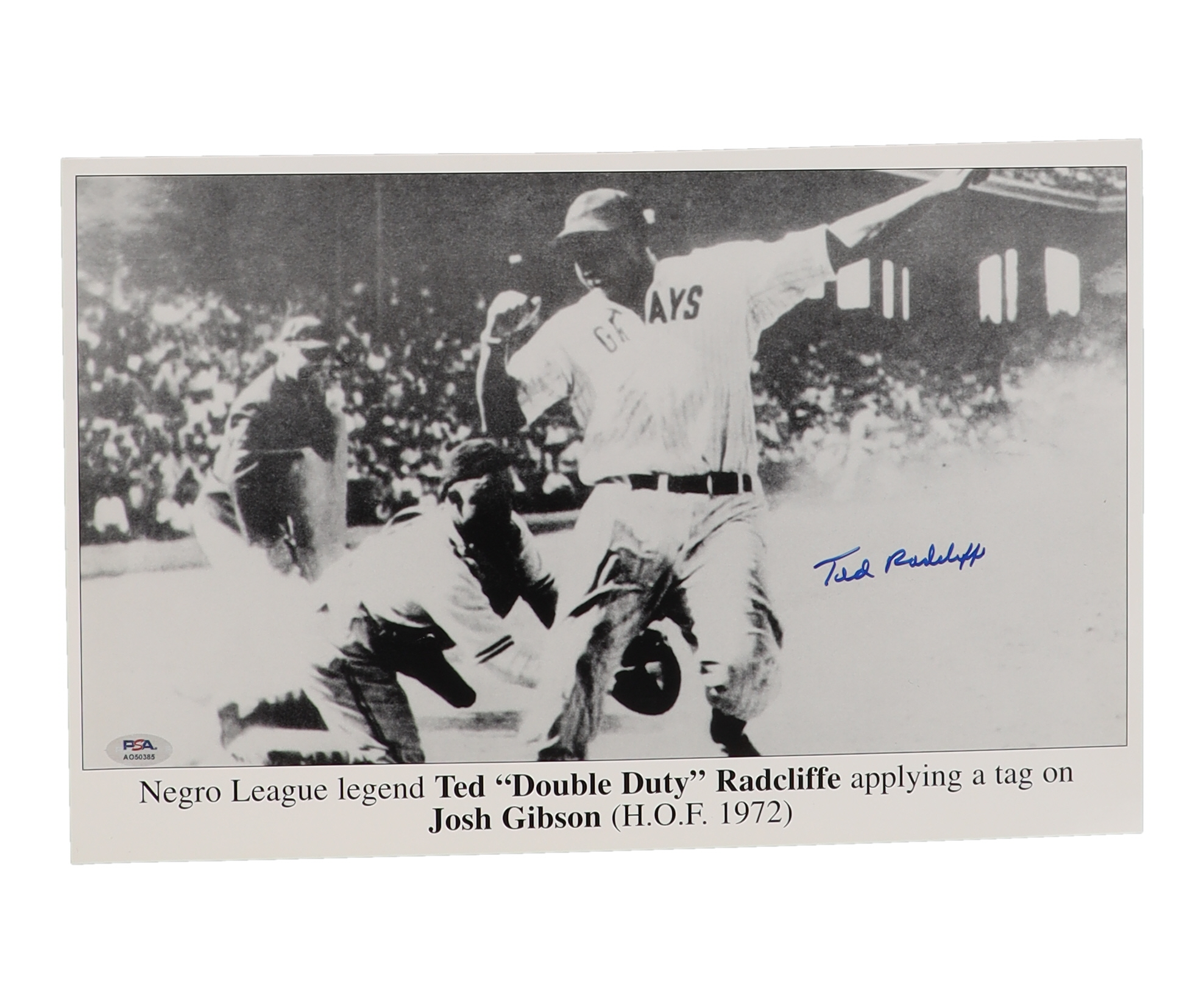 Ted "Double Duty" Radcliffe Signed 10.75x16.5 Photo (PSA) | Pristine ...