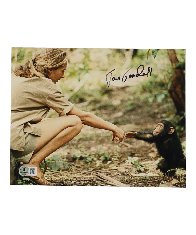 Jane Goodall Signed 8x10 Photo (Beckett) | Pristine Auction