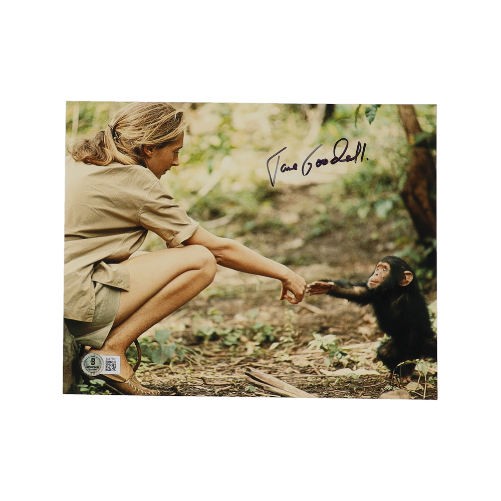 Jane Goodall Signed 8x10 Photo (Beckett) | Pristine Auction