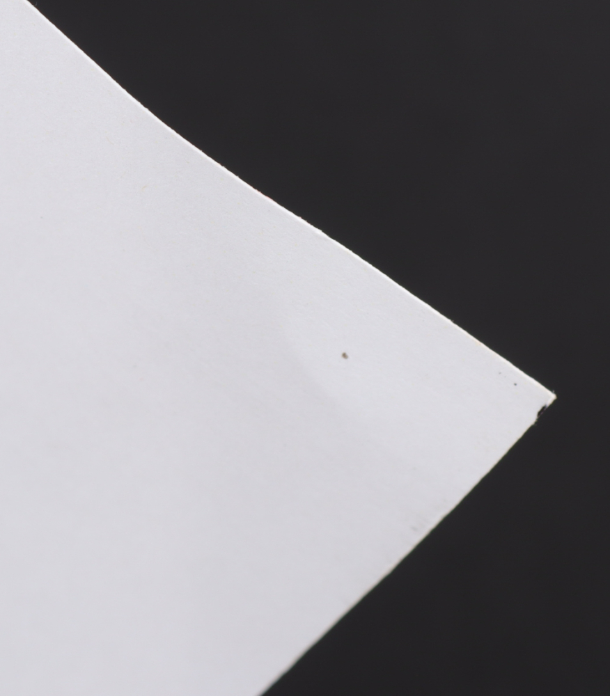 Maya Rudolph Signed "Shrek the Third" 11x14 Photo (AutographCOA ...