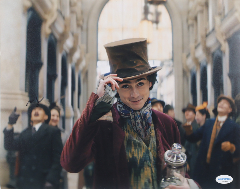 Timothée Chalamet Signed "Wonka" 11x14 Photo (AutographCOA) | Pristine ...