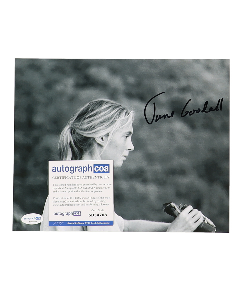 Jane Goodall Signed 8x10 Photo (AutographCOA) | Pristine Auction