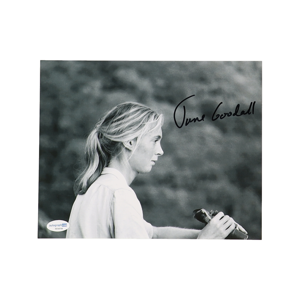 Jane Goodall Signed 8x10 Photo (AutographCOA) | Pristine Auction