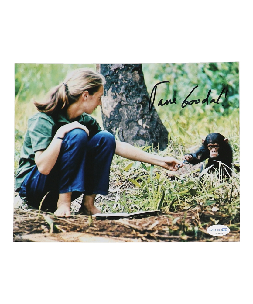 Jane Goodall Signed 8x10 Photo (AutographCOA) | Pristine Auction