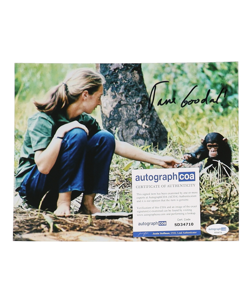 Jane Goodall Signed 8x10 Photo (AutographCOA) | Pristine Auction