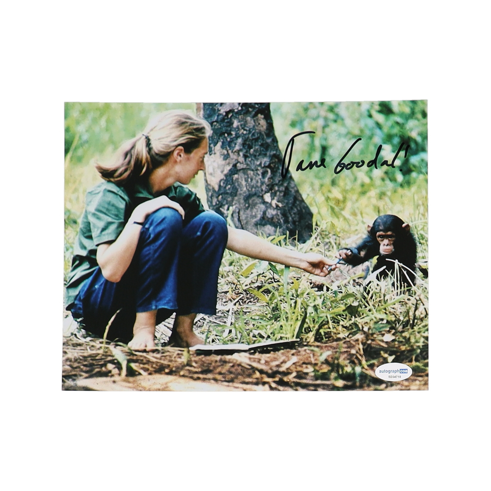 Jane Goodall Signed 8x10 Photo (AutographCOA) | Pristine Auction